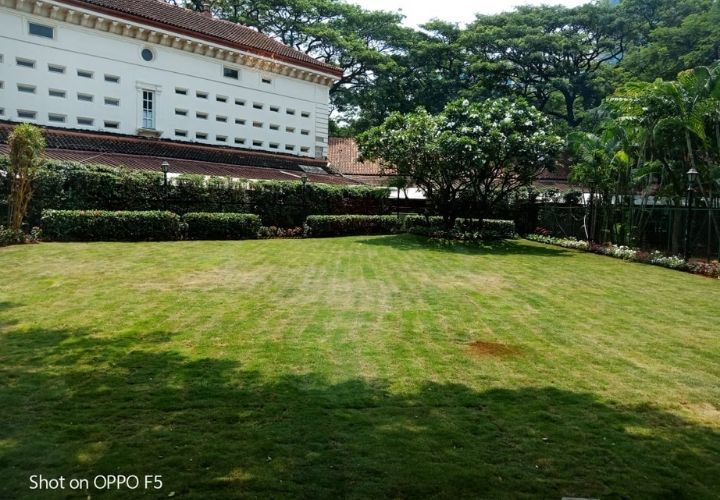 Turf Club Lawn 2.jpg